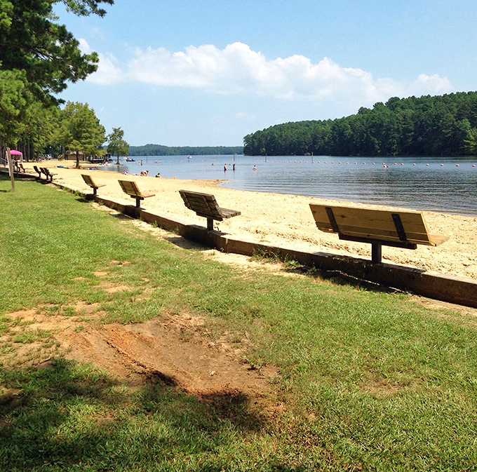 Benches perfectly positioned for contemplating life's big questions or just watching the water and zoning out completely.