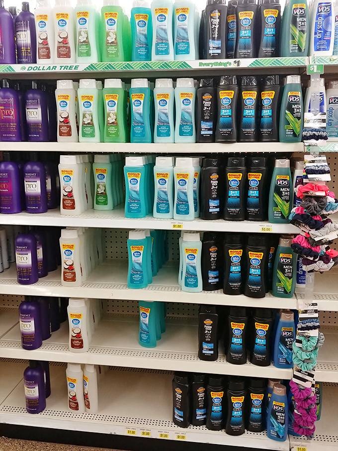 Shower essentials lined up like beauty pageant contestants, each vying to clean you up without cleaning out your bank account.