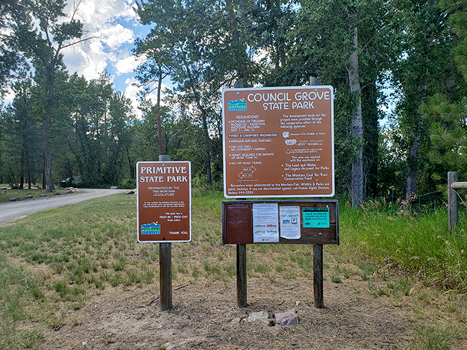 The signs say "Primitive State Park" but I call it "Luxury Unplugged." No better amenities exist than those nature provides.