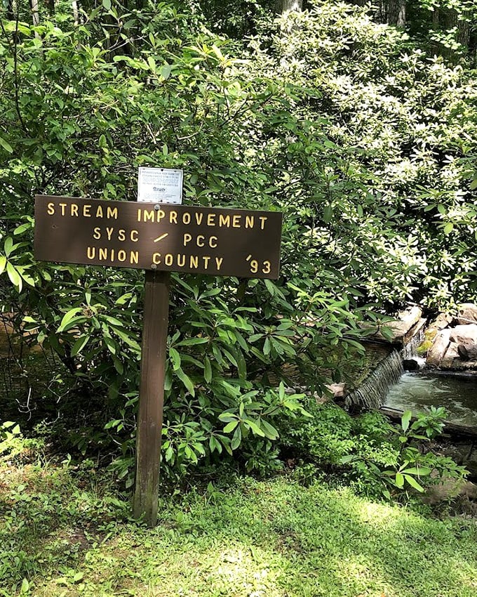 Conservation in action – this humble sign marks decades of environmental stewardship. Proof that humans and nature can occasionally get along splendidly.