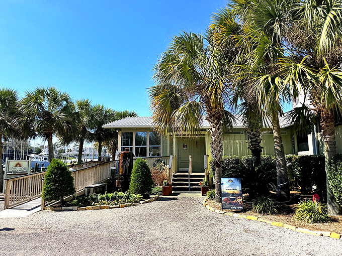 Surrounded by swaying palms, this coastal cottage promises seafood so fresh it was swimming this morning while you were still hitting snooze.