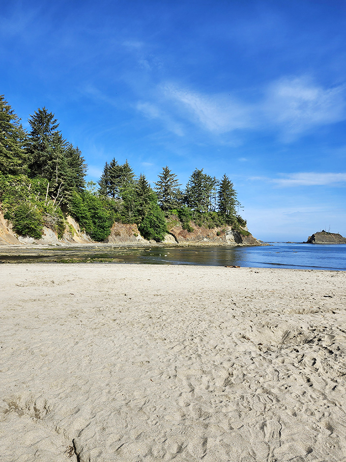Sandy shores framed by evergreens &ndash; Oregon's way of showing off without even trying too hard.