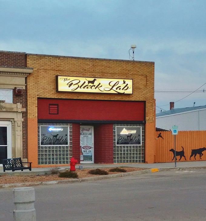 The Black Lab's modest storefront conceals the kind of local watering hole where everybody might not know your name yet&mdash;but they will by your second visit.