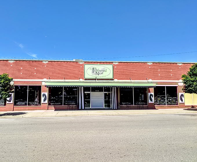 The Feathered Nest's charming storefront invites curious shoppers to discover treasures that big box retailers simply can't replicate.