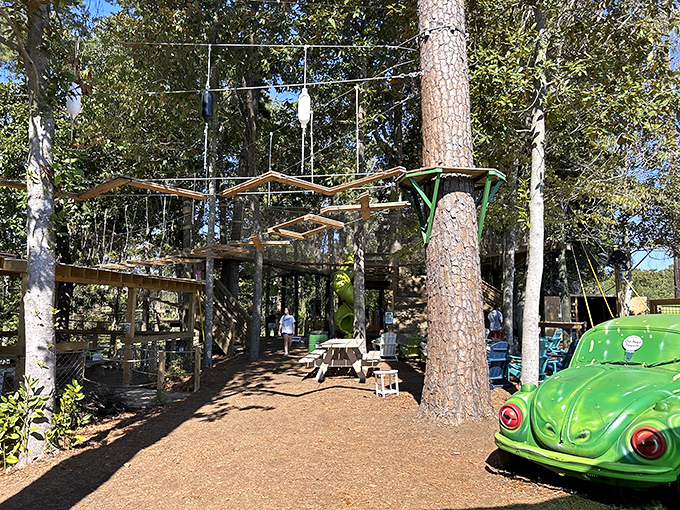 Tree Frogs Adventure Park lets kids be kids while parents secretly wish the height restrictions didn't exclude their inner child.