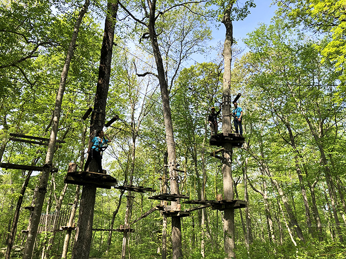 Adventure goes vertical at TreeTrails, where the forest becomes a playground and acrophobia takes a back seat to excitement.
