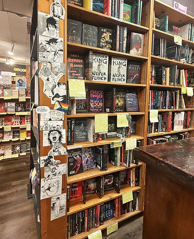 Manga meets Stephen King in this delightfully eclectic corner. Yellow staff notes transform casual browsing into treasure hunting with insider tips.