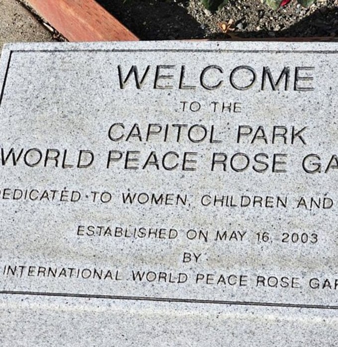 The garden's welcome sign hints at the magic within &ndash; a first chapter that barely prepares you for the story about to unfold.