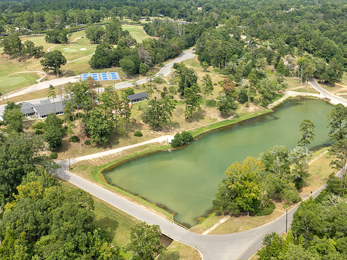 Emerald waters reflect towering pines at Whitley Lee Park, where fishing lines dangle with the same patience found in Monroeville's unhurried pace.