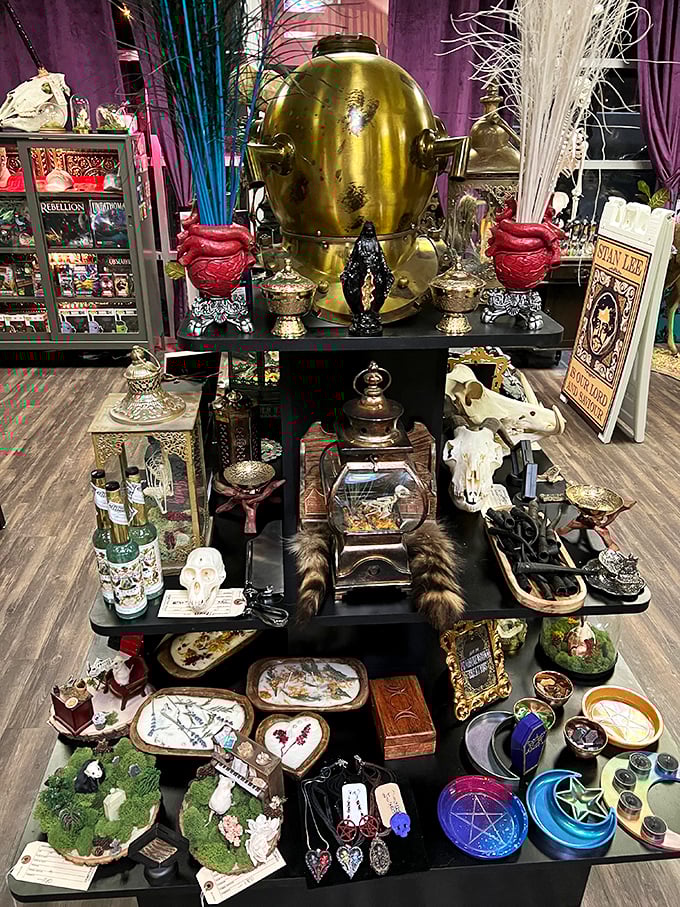 A brass diving helmet presides over anatomical models and curiosity cabinets&mdash;steampunk meets science in this treasure-filled display.