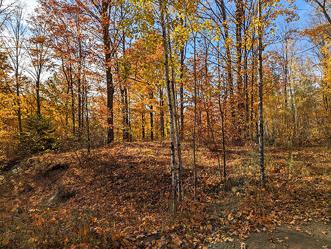 Fall in the UP isn't just pretty&mdash;it's a riot of color that makes leaf-peepers from New England question their life choices.