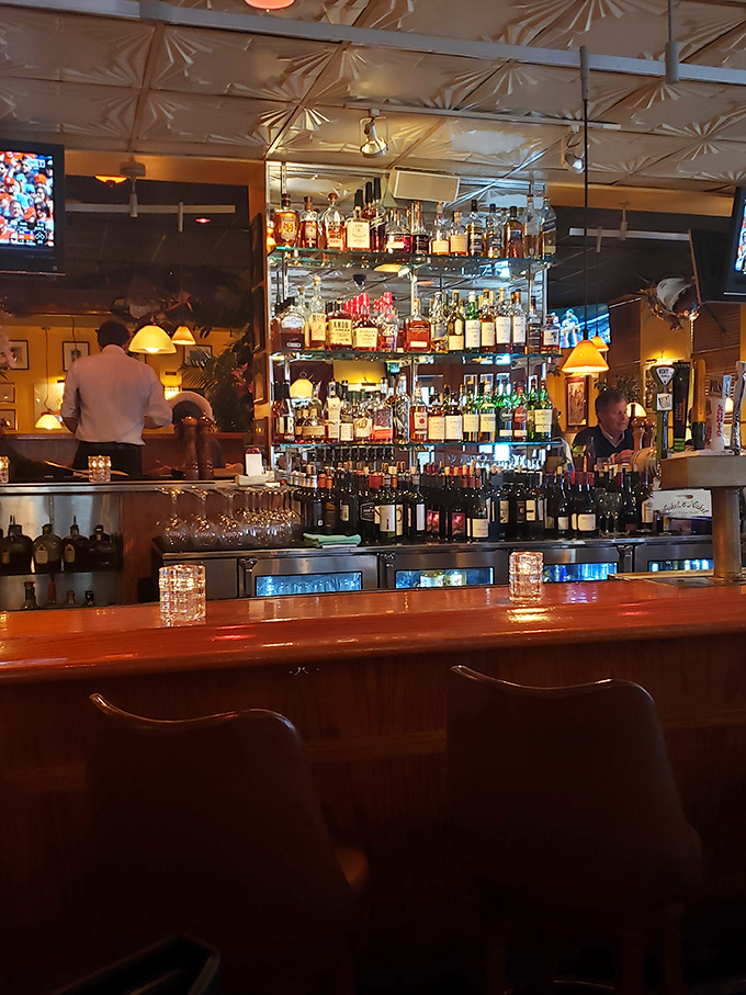 Not just a bar, but a liquid library with shelves of possibilities. The kind of place where "just one drink" becomes a pleasant fiction.