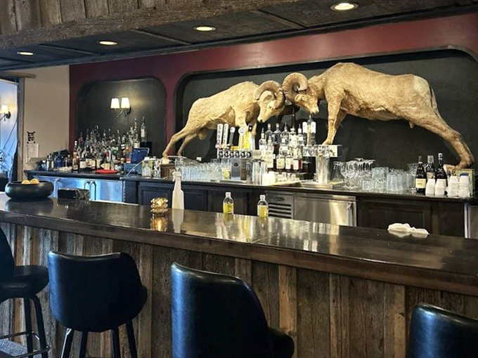 The bar where bighorn sheep have the best view in the house, silently judging your drink order while presiding over bottles of liquid courage.