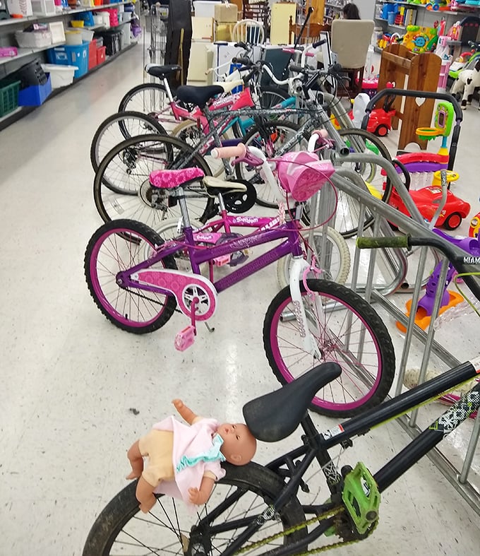 Bicycle battalion! From training wheels to ten-speeds, these pre-loved cycles are ready for new adventures on Maryland trails.