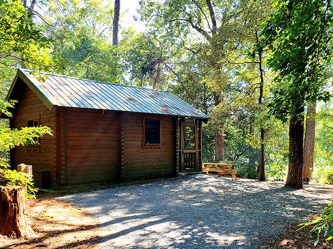 This rustic cabin whispers promises of morning coffee on the porch while birds provide the soundtrack to your temporary woodland existence.