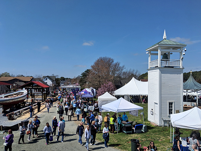 Festival season brings Saint Michaels to vibrant life. The lighthouse watches over crowds gathering to celebrate everything from wooden boats to Maryland wines.