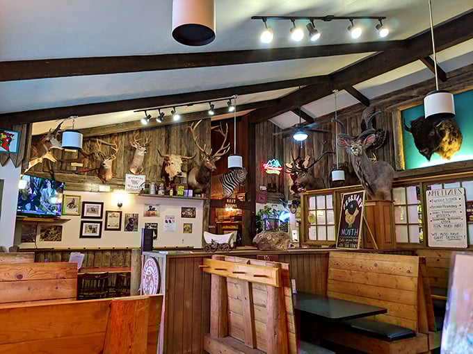 More than decoration, these mounted specimens tell the story of Wyoming's wild heritage while you contemplate your next bite.