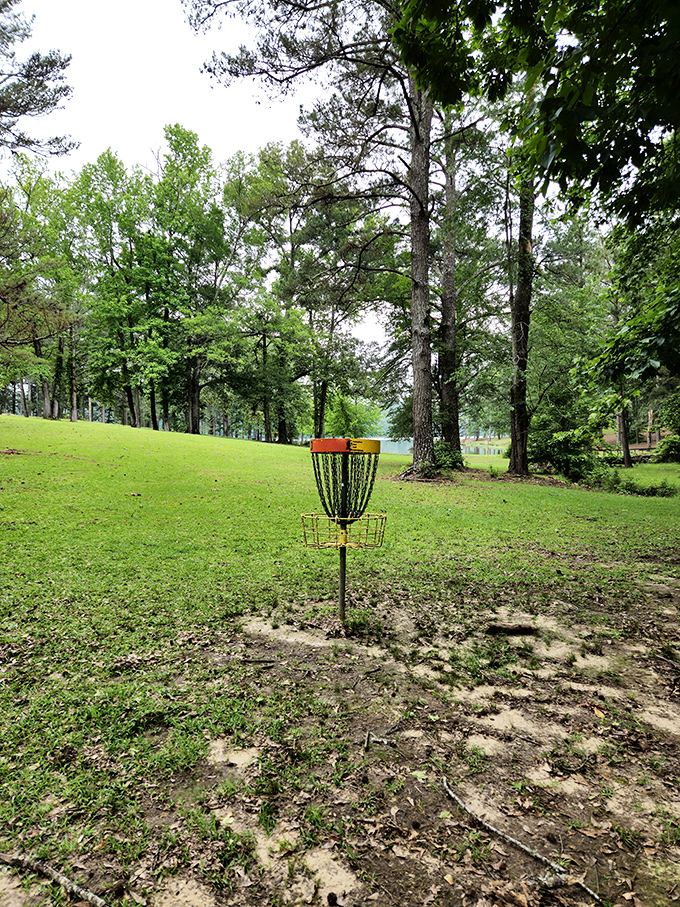 Fore! Or is it five? This disc golf basket stands ready to receive flying discs and crush the hopes of first-timers.