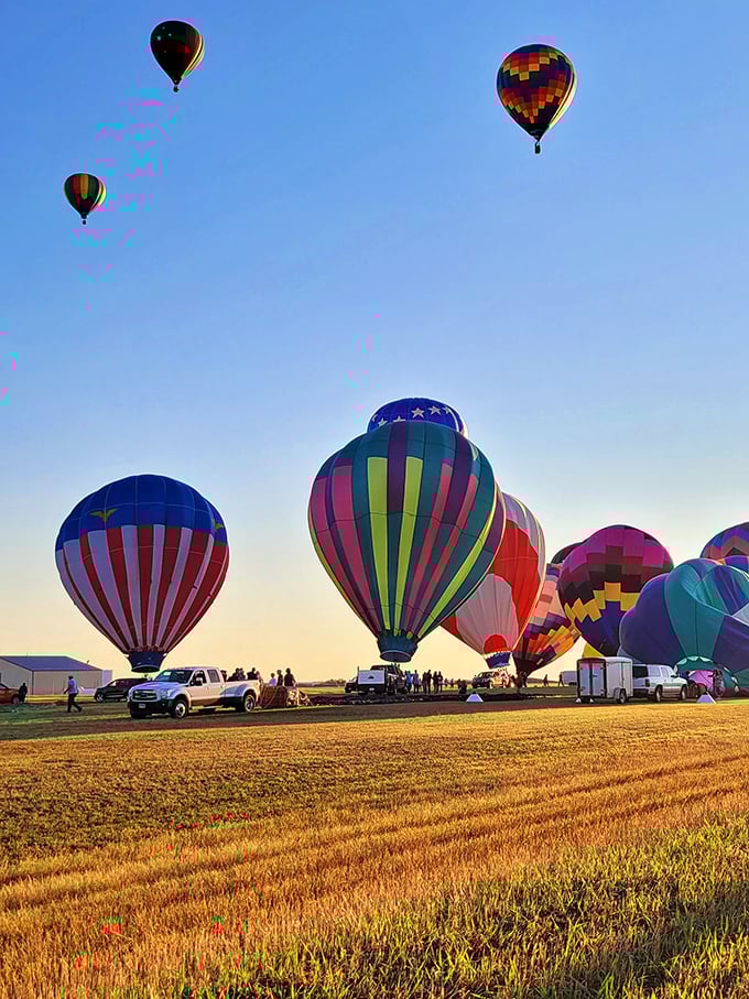Hot air balloons paint the South Dakota sky with kaleidoscope colors. From below, it looks like the world's most magnificent upside-down garden.