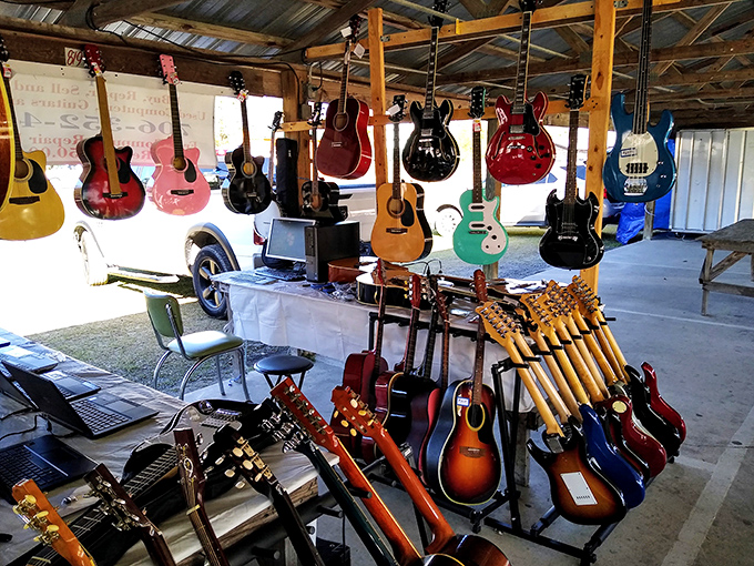 A musician's paradise where guitars hang like ripening fruit, each instrument holding melodies waiting to be discovered by the right hands.