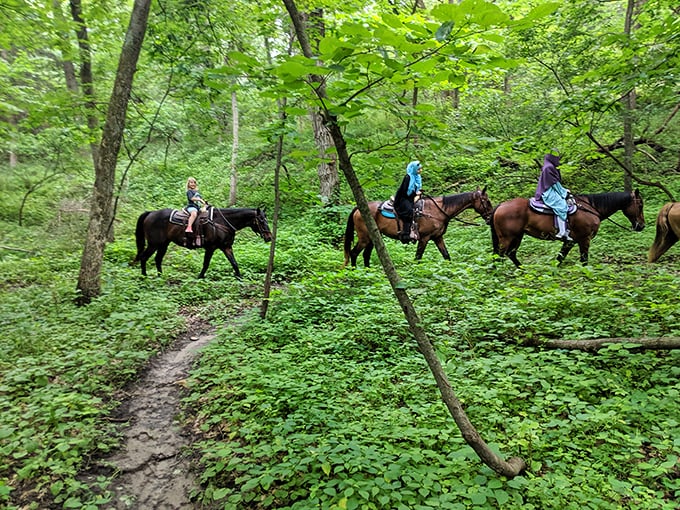 Horseback riding through emerald undergrowth&mdash;the original eco-friendly transportation method. No charging stations required, though occasional treats are appreciated.