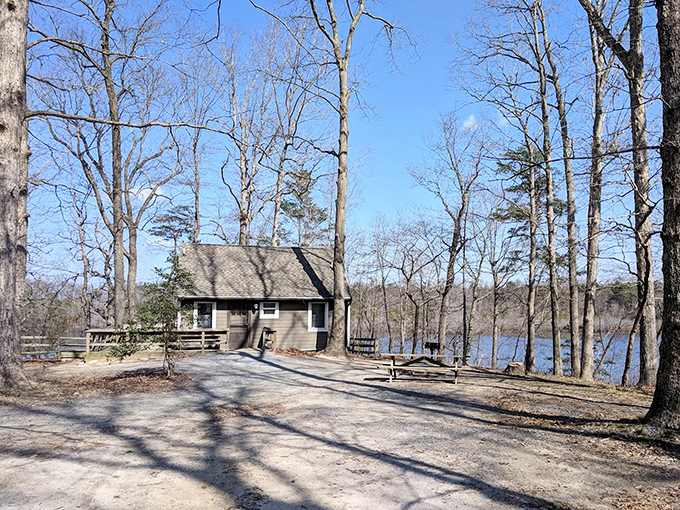 Waterfront cabins offer front-row seats to nature's daily show, which beats anything streaming on your various subscription services.