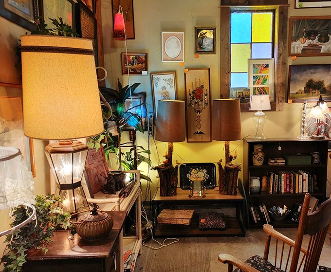 The lamp corner glows with possibilities&mdash;each vintage shade casting the kind of warm light that makes everyone look like they're in a Wes Anderson film.