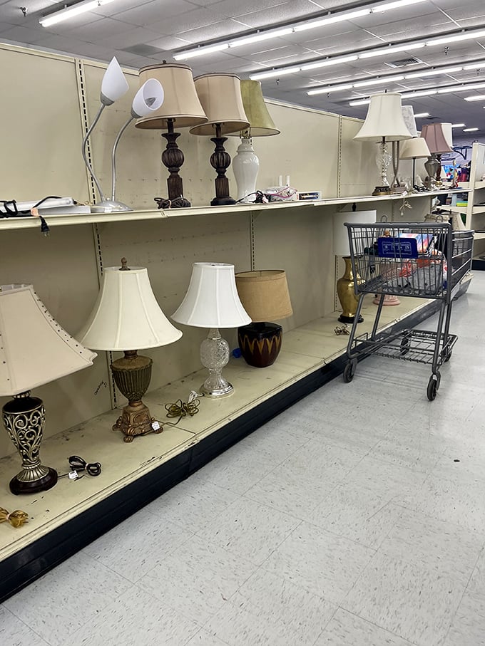 Lamps of every era illuminate the possibilities of home decor transformation without the shocking price tags.