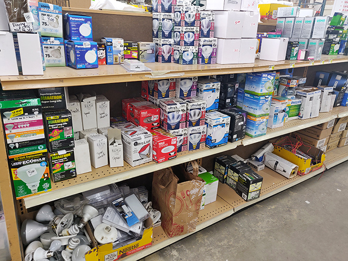 The electrical aisle – where light bulb moments are both metaphorical and literal, all at significant savings.