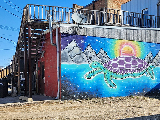 Local art brings underwater magic to downtown buildings. This turtle mural reminds you that Bottineau embraces its reptilian mascot with genuine affection.
