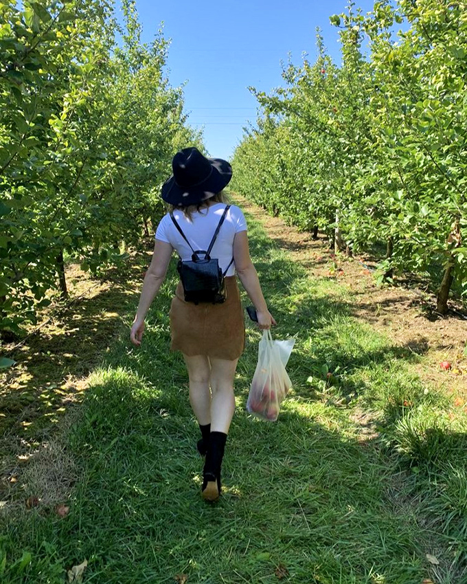 A solitary figure embarks on the timeless ritual of apple picking. There's something meditative about walking these rows with purpose and an empty bag.