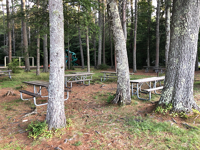 Picnic tables strategically placed among towering pines&mdash;because sandwiches genuinely taste better with a side of wilderness.