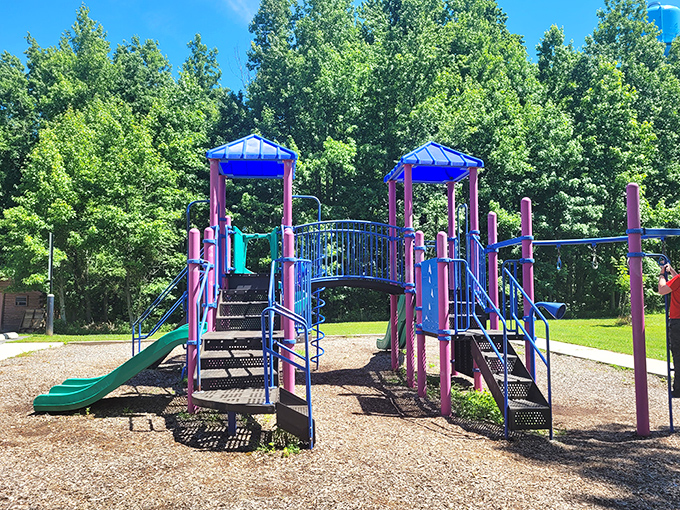 Wilderness recess for the young and young-at-heart. This colorful playground proves that even in nature's domain, slides and swings remain childhood currency.