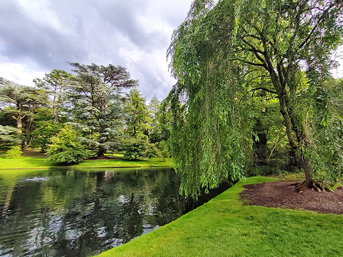 Reflections in still water create nature's perfect mirror. The weeping willow isn't sad—it's just leaning in to admire itself.