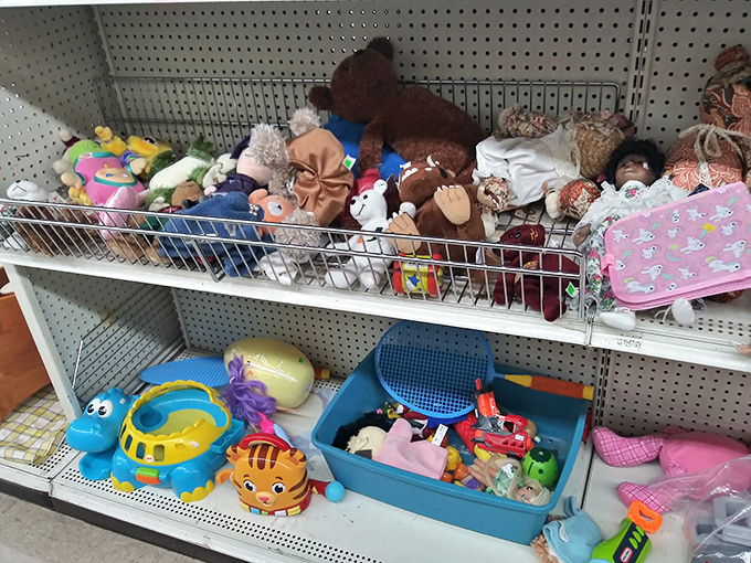 The toy section: Where childhood memories are stacked in plastic bins, waiting for new adventures with the next generation.