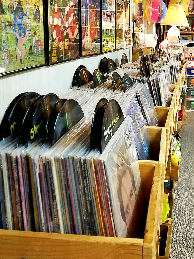 Vinyl heaven awaits the patient browser. Huey Lewis shares shelf space with forgotten bands whose album art alone is worth the price of admission.