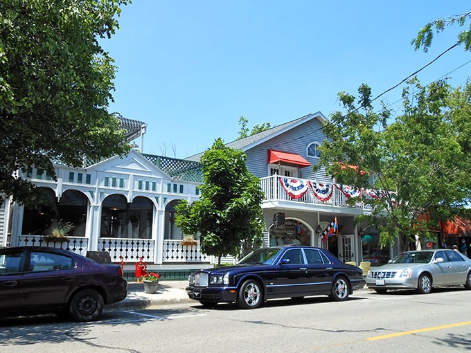Saugatuck's colorful buildings house galleries and boutiques, reflecting the town's artistic heritage.