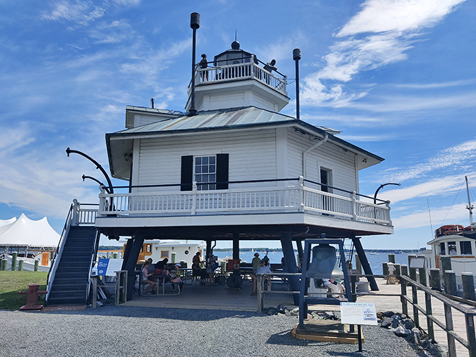 The relocated 1879 Hooper Strait Lighthouse stands as the crown jewel of the Maritime Museum. Its weathered white boards have stories that would curl your toes.