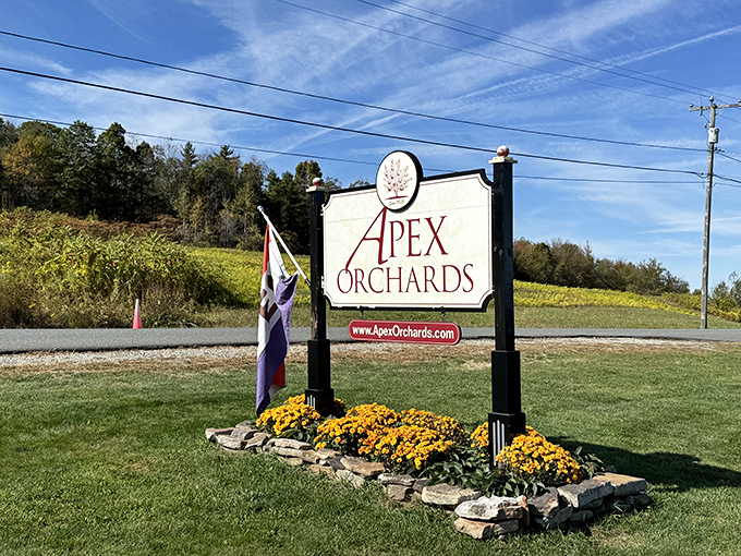Apex Orchards welcomes fruit enthusiasts to a hilltop paradise where apples and views compete for which is more delicious.