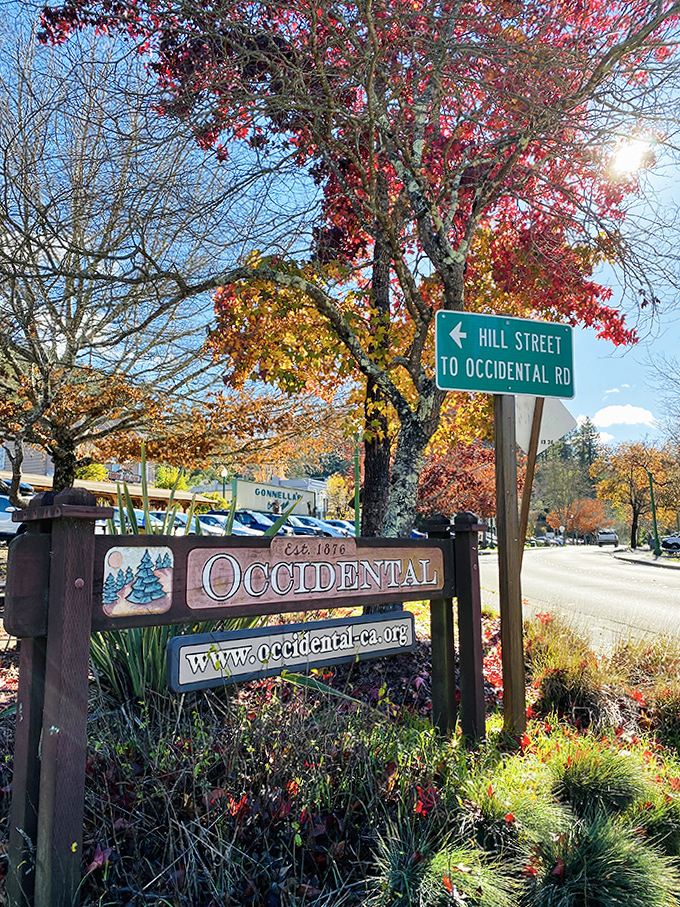 Occidental's welcome sign stands framed by autumn's fiery display, a colorful introduction to this historic timber town.