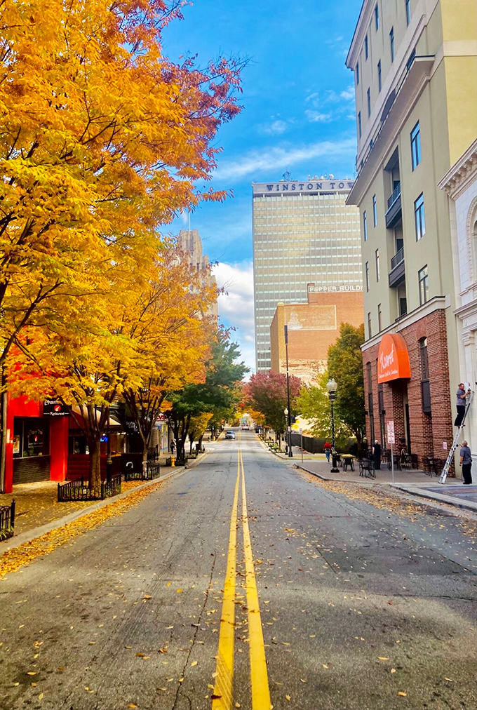 Autumn paints Winston-Salem's downtown in golden hues, creating a scene so picturesque you'll want to grab a pumpkin spice latte and stroll for hours.