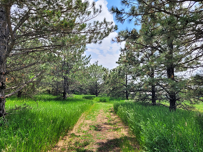 This tranquil trail through Baldwin Park offers a reminder that sometimes the best luxury is simply space to breathe and paths to wander.