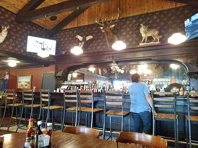 A bar backed by wildlife mounts that seem to be saying, "Yes, we're watching you order that third beer, and we approve."