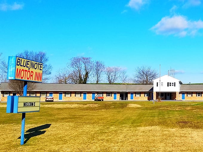 The Blue Note Motor Inn offers no-nonsense lodging with that distinctly American roadside charm that chain hotels spend millions trying to replicate.