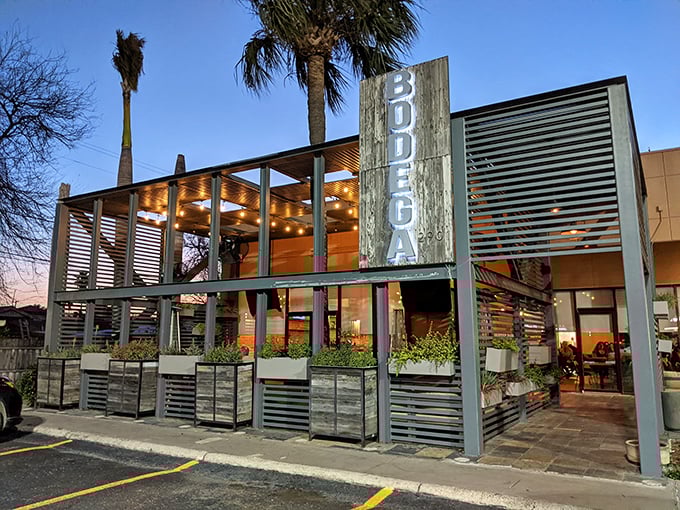 Bodega's industrial-chic outdoor space beckons with string lights and the promise of conversations that last longer than your phone battery.