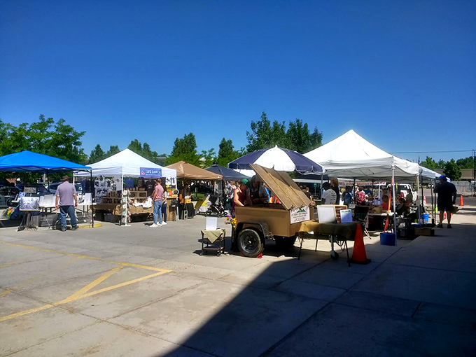 The Cache Valley Gardener's Market transforms a parking lot into a community celebration where the tomatoes have better backstories than most reality TV stars.