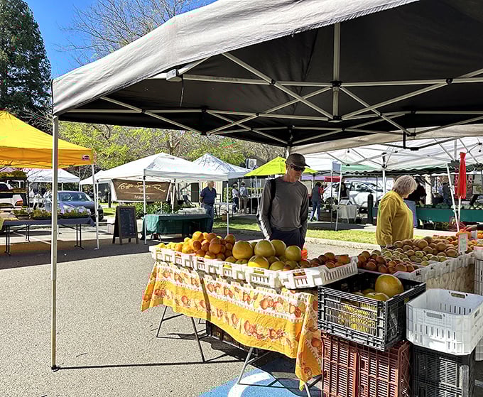 The farmers' market showcases nature's bounty, where conversations with local growers are as nourishing as the produce they're selling.