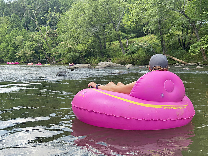 That pink flamingo float perfectly captures the relaxed vibe of tubing down the Cartecay—pure joy, zero pretension required.