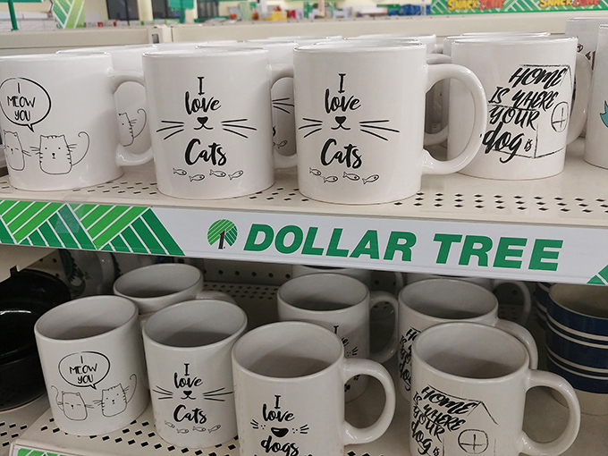 Cat mugs that speak to the feline lover's soul&mdash;proof that Dollar Tree understands both budget shopping and internet culture.