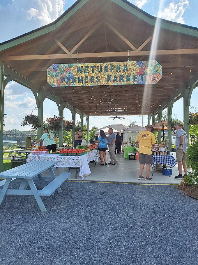 The Farmers Market pavilion showcases nature's bounty and neighborly conversations&mdash;where tomatoes are judged on flavor, not Instagram potential.